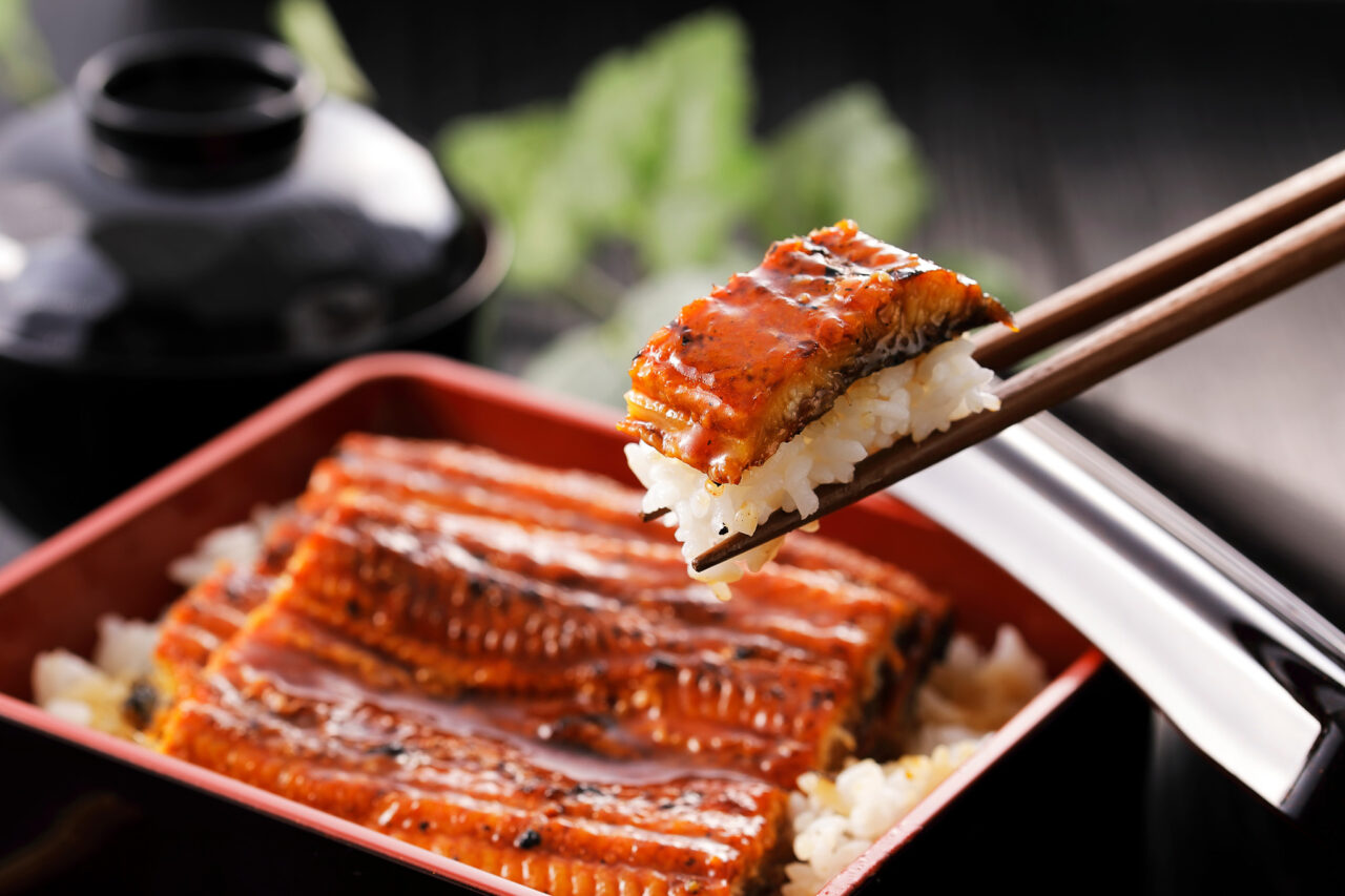 Eel : Japan’s Exquisite Delicacy – Canvas Japan | Craft your own japan.